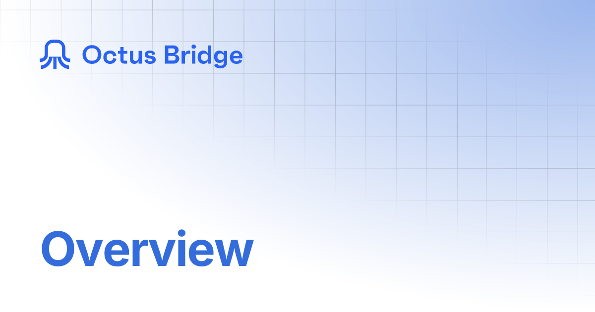 Overview | Octus Bridge